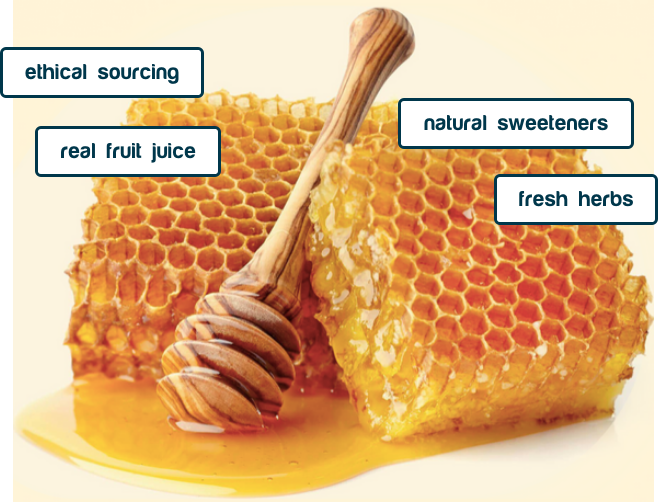 Fresh Fizz Sodas - Natural Sodas Sweetened With Honey